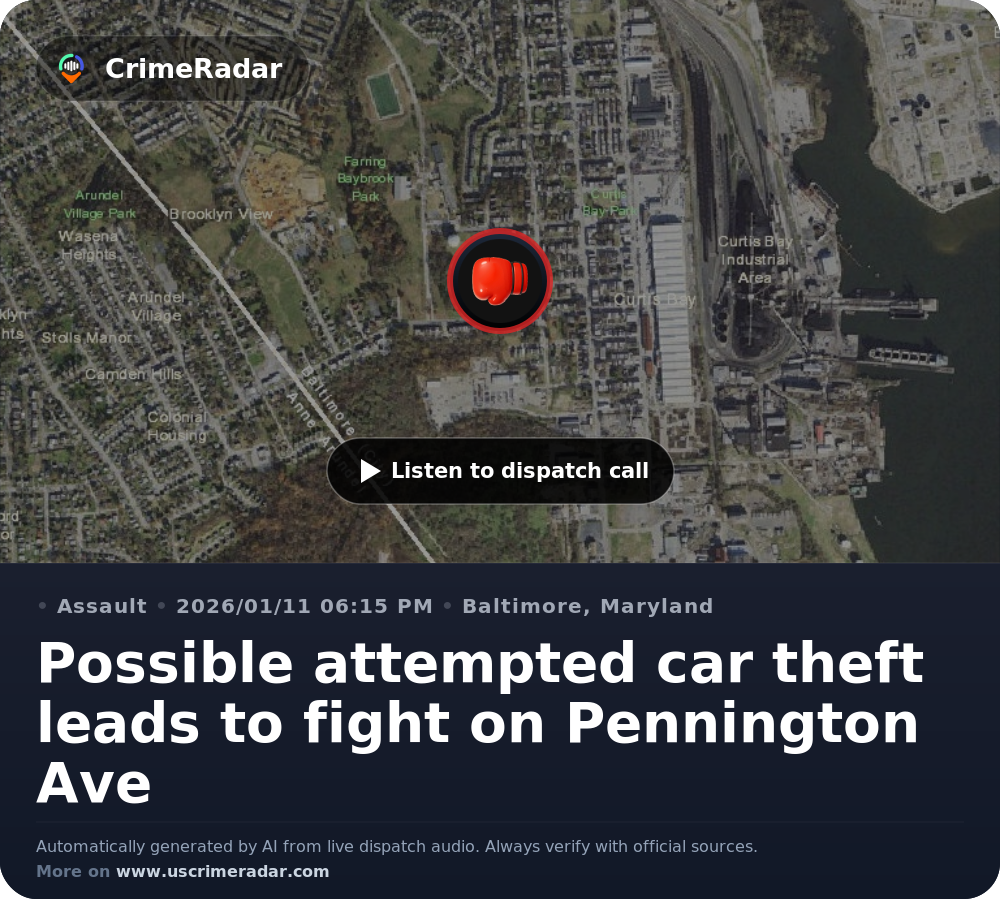 Possible attempted car theft leads to fight on Pennington Ave ...