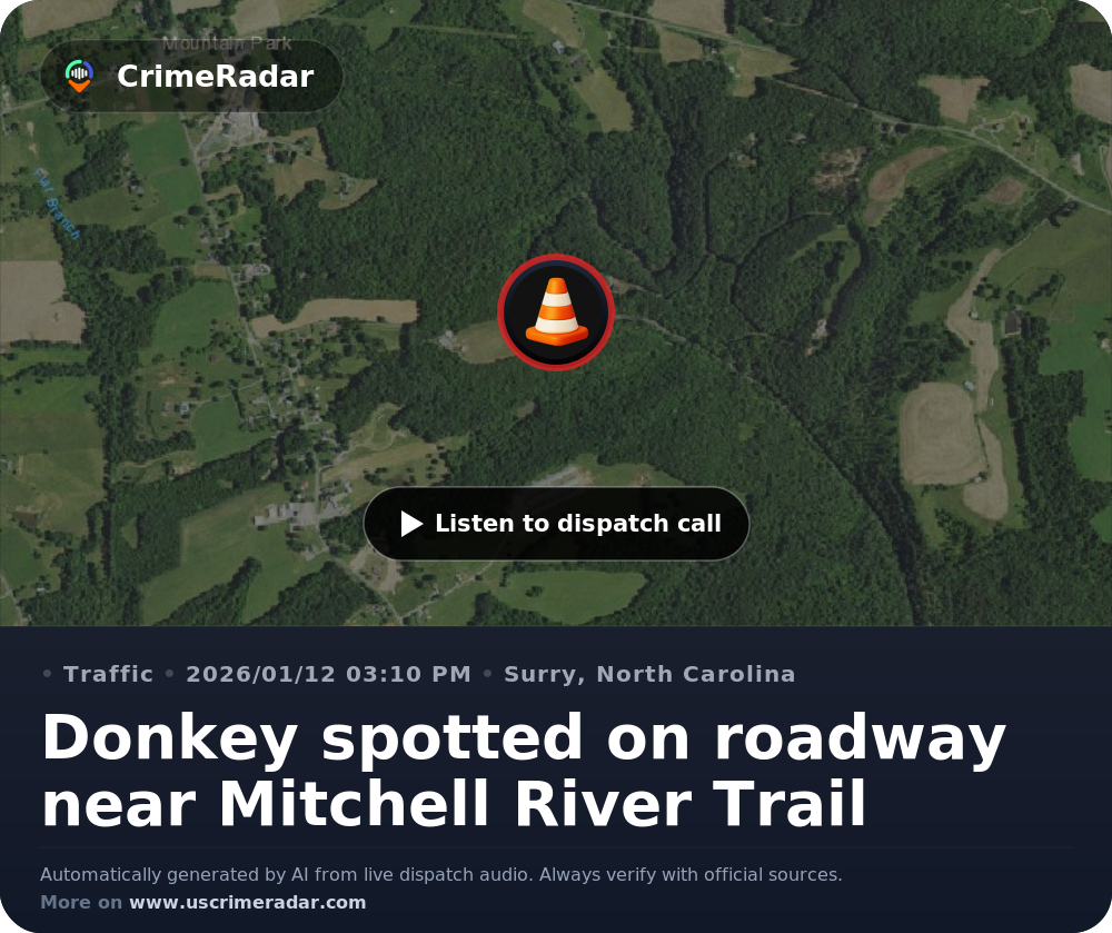 Donkey spotted on roadway near Mitchell River Trail, Surry County NC ...