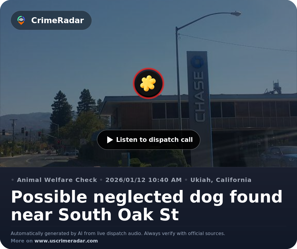 Possible neglected dog found near South Oak St, Ukiah CA | CrimeRadar