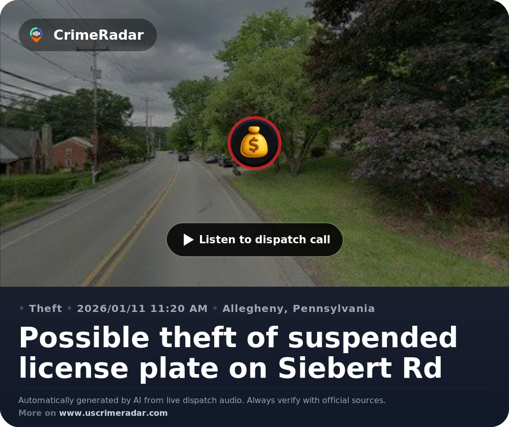 Possible theft of suspended license plate on Siebert Rd, Allegheny ...