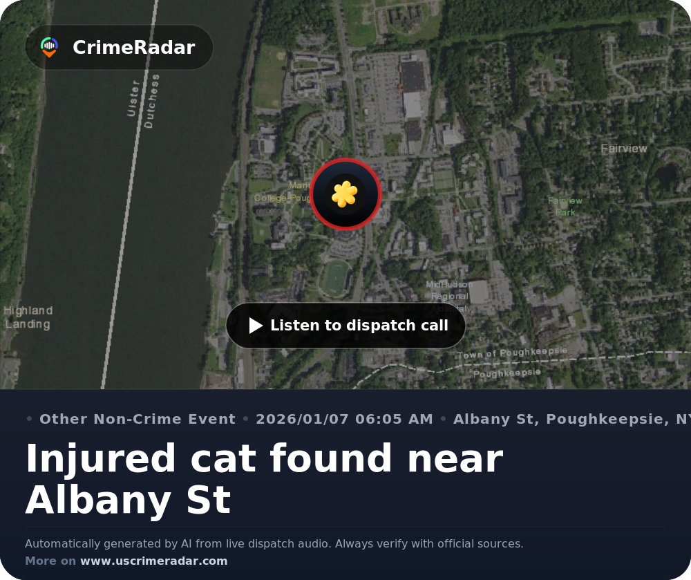 Injured cat found near Albany St, Poughkeepsie NY | CrimeRadar