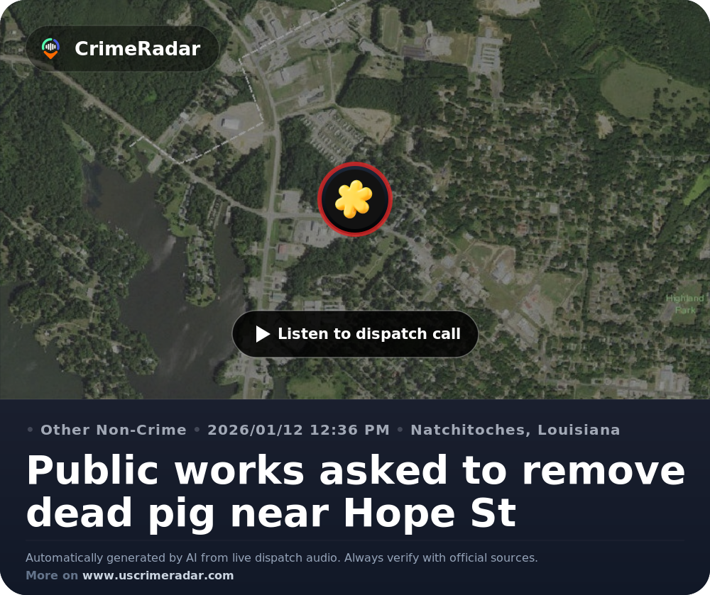 Public works asked to remove dead pig near Hope St, Natchitoches LA ...