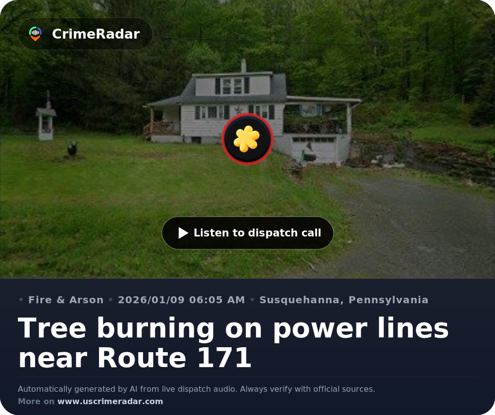 Tree burning on power lines near Route 171, Susquehanna County PA ...